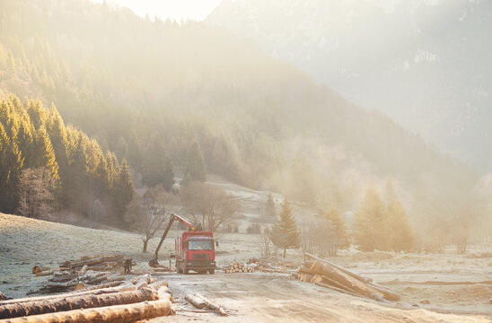 Lumberjacking - Images et vidéos libres de droits | Adobe Stock