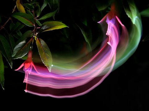 「Aljaba」の写真素材 | 15件の無料イラスト画像 | Adobe Stock