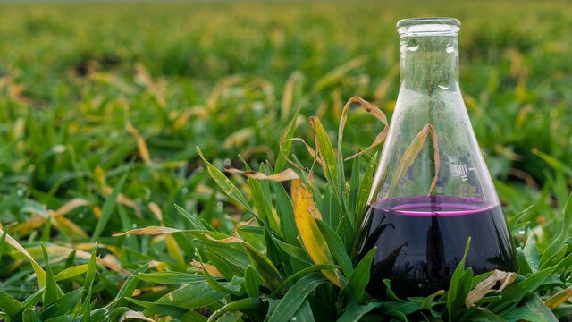 Agrochemistry Bilder – Durchsuchen 1,122 Archivfotos, Vektorgrafiken ...