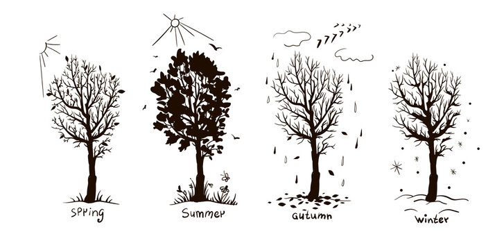 Four Seasons Clipart Black And White