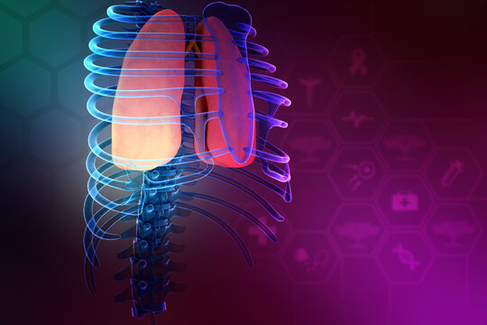 Windpipe Images – Browse 1,819 Stock Photos, Vectors, and Video | Adobe ...