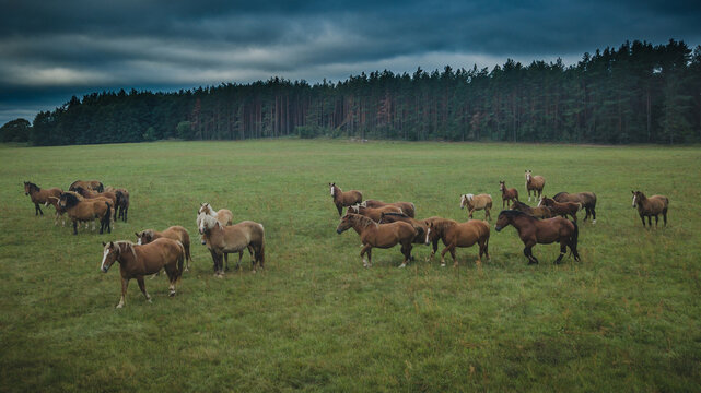 "Dramatic Background" Images – Browse 1,028 Stock Photos, Vectors, and ...