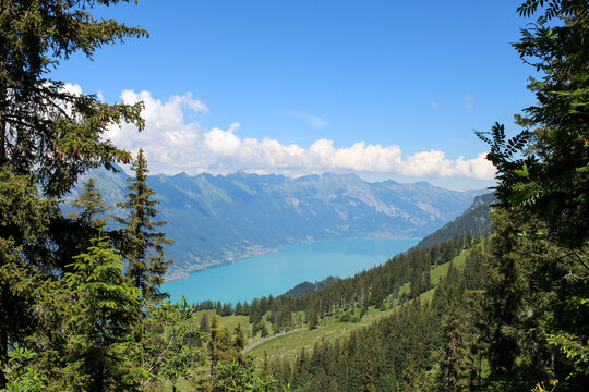รูปภาพBrienzersee – เลือกดูภาพถ่ายสต็อก เวกเตอร์ และวิดีโอ3,039 | Adobe ...