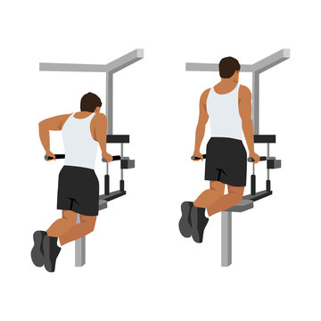 รูปภาพDips – เลือกดูภาพถ่ายสต็อก เวกเตอร์ และวิดีโอ322,220 | Adobe Stock