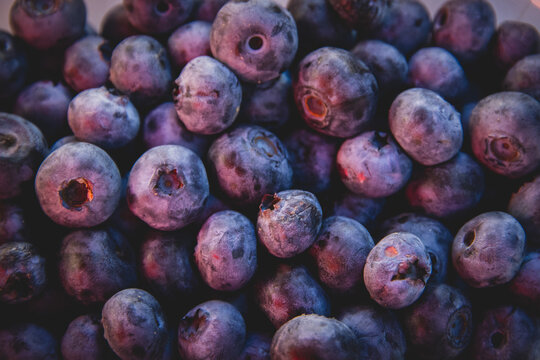 Myrtille Bilder – Durchsuchen 2,581 Archivfotos, Vektorgrafiken und ...