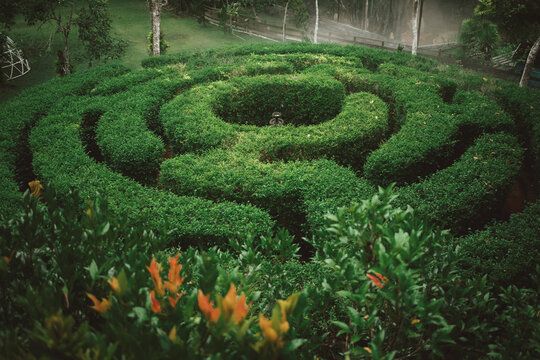 รูปภาพMaze – เลือกดูภาพถ่ายสต็อก เวกเตอร์ และวิดีโอ1,234,293 | Adobe Stock