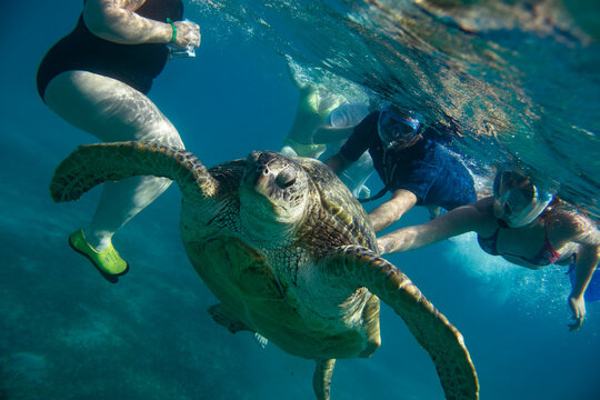 「Rotzen」の写真素材 | 23件の無料イラスト画像 | Adobe Stock