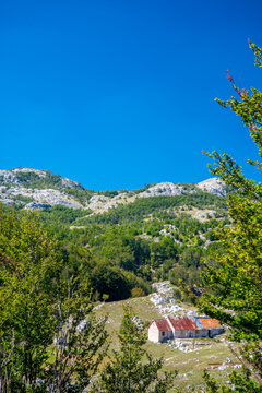 Stirovnik Bilder – Durchsuchen 107 Archivfotos, Vektorgrafiken und ...