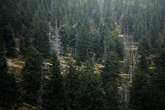 "Las Iglasty" Images – Browse 243 Stock Photos, Vectors, and Video ...