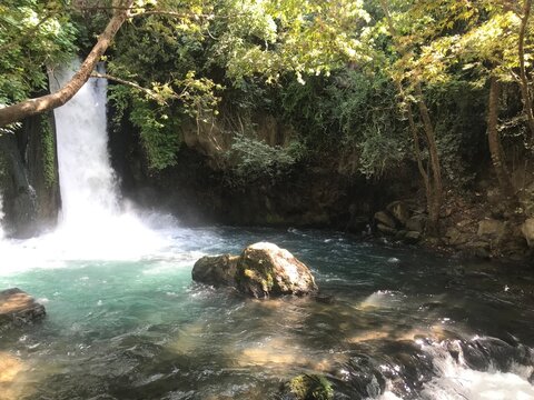 รูปภาพPanias – เลือกดูภาพถ่ายสต็อก เวกเตอร์ และวิดีโอ1,215 | Adobe Stock