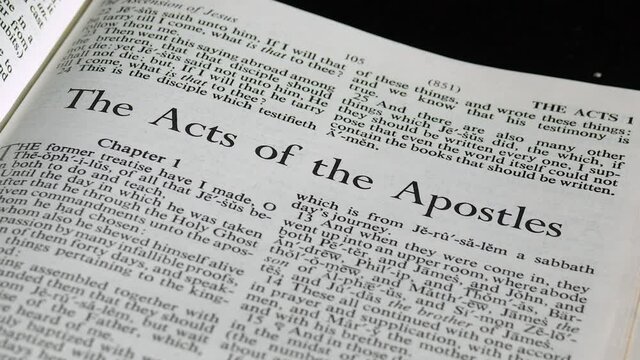 Acts Bible