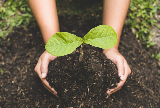 LAS 3,113,427 MEJORES IMÁGENES, FOTOS DE ARCHIVO Y VECTORES DE ...