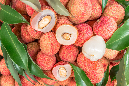 「Letchis」の画像 - 487 件の Stock 写真、ベクターおよびビデオ | Adobe Stock