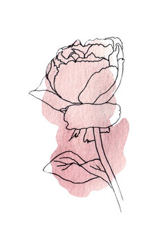 Rose Tumblr Drawings