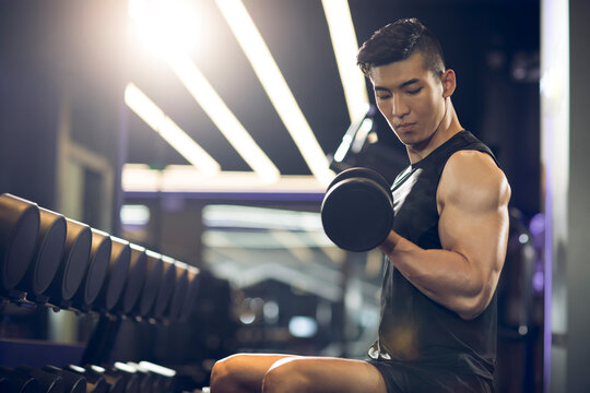 Gym Images – Browse 2,108,352 Stock Photos, Vectors, and Video | Adobe ...