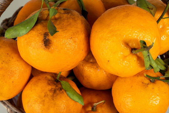 Pokan Images – Browse 42 Stock Photos, Vectors, and Video | Adobe Stock