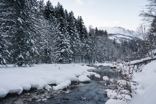 รูปภาพInvernal – เลือกดูภาพถ่ายสต็อก เวกเตอร์ และวิดีโอ2,668 | Adobe Stock