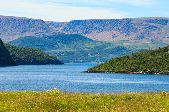 รูปภาพNorris – เลือกดูภาพถ่ายสต็อก เวกเตอร์ และวิดีโอ3,279 | Adobe Stock