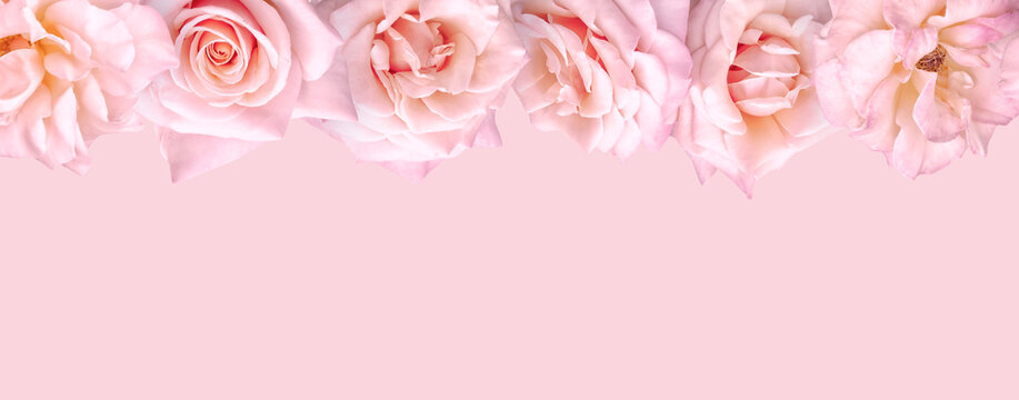 Background For Twitter Floral