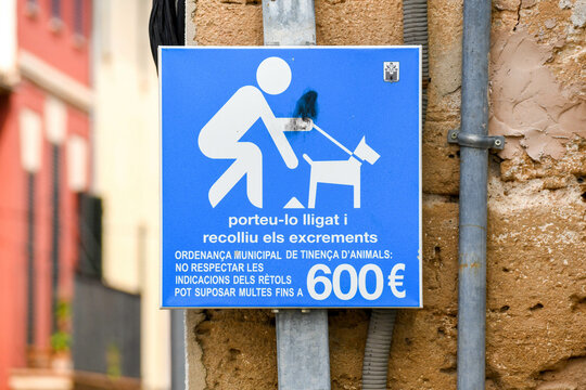 Hundehaufen Billeder – Gennemse 269 stockfotos, vektorer og videoer ...