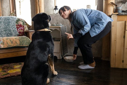 Fluchttier Bilder – Durchsuchen 23,475 Archivfotos, Vektorgrafiken und ...