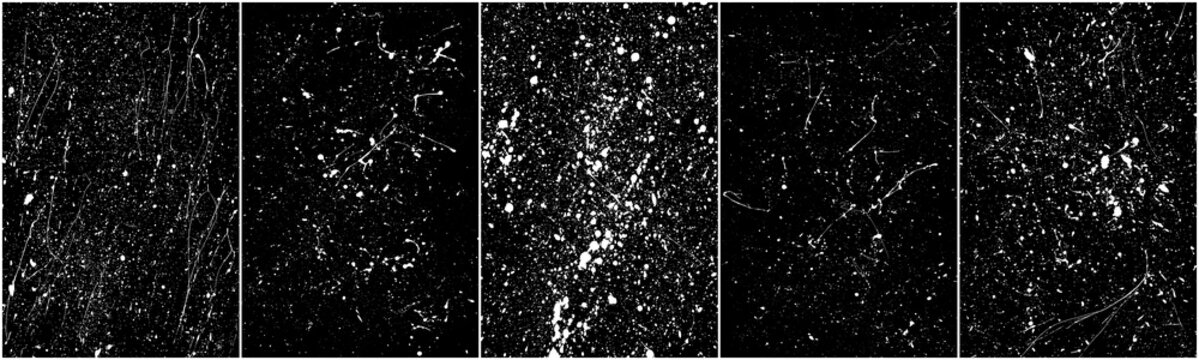 Blackwhite Bilder – Durchsuchen 19,418,705 Archivfotos, Vektorgrafiken ...