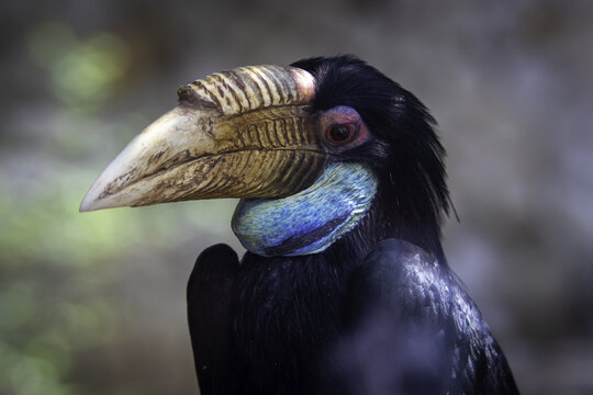 รูปภาพKalao – เลือกดูภาพถ่ายสต็อก เวกเตอร์ และวิดีโอ72 | Adobe Stock