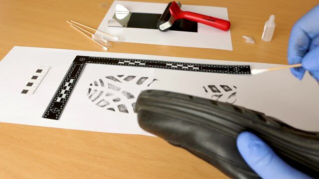 Forensic Ruler Images – Browse 257 Stock Photos, Vectors, and Video ...