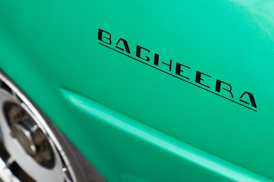 Bagheera Imagens – Procure 95 fotos, vetores e vídeos | Adobe Stock