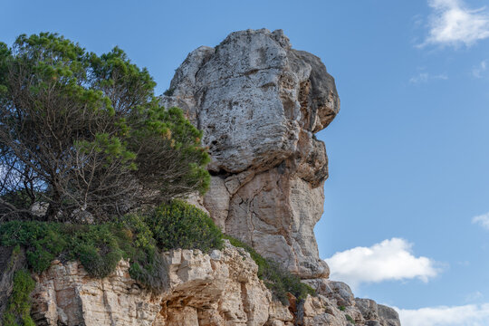 รูปภาพAlmunia – เลือกดูภาพถ่ายสต็อก เวกเตอร์ และวิดีโอ328 | Adobe Stock