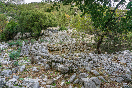 Afbeeldingen over "Limestone Texture" – Blader in stockfoto's, vectoren ...