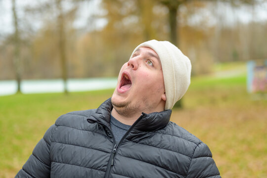 รูปภาพAghast – เลือกดูภาพถ่ายสต็อก เวกเตอร์ และวิดีโอ689,663 | Adobe Stock