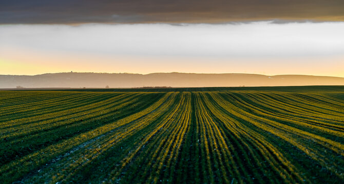 DIE 34,007 BESTEN BILDER, STOCK-FOTOS UND -VEKTORGRAFIKEN ZU ...