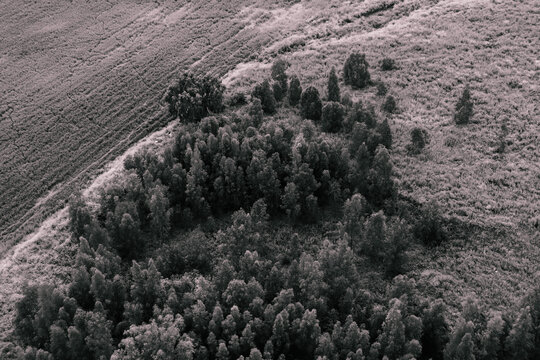 "Cluster Of Trees" Images – Browse 26 Stock Photos, Vectors, and Video ...