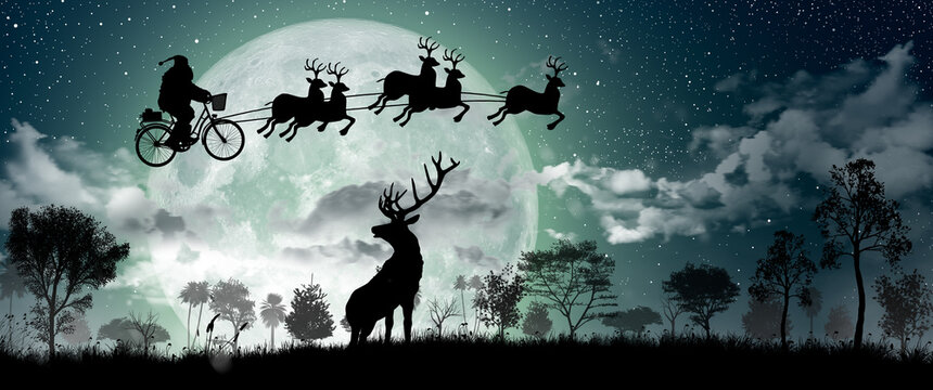 1,614,647 BEST Rode IMAGES, STOCK PHOTOS & VECTORS | Adobe Stock