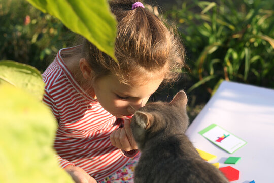 Befriending bilder – Bläddra bland 668 stockfoton, vektorer och videor ...