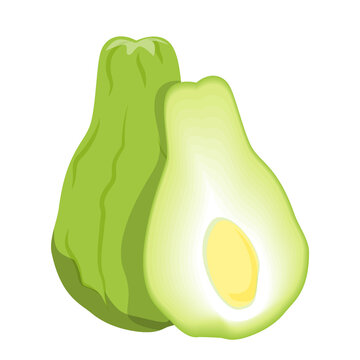 Sayote Images – Browse 6,732 Stock Photos, Vectors, and Video | Adobe Stock