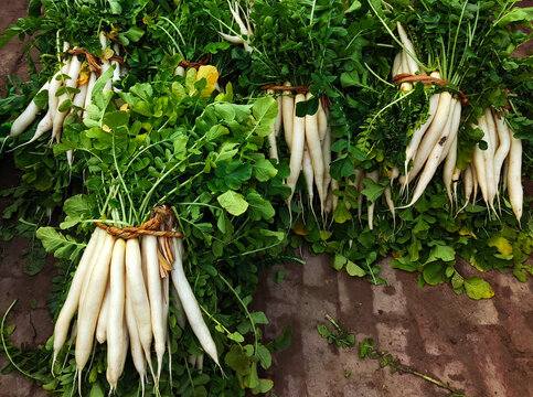 รูปภาพMooli – เลือกดูภาพถ่ายสต็อก เวกเตอร์ และวิดีโอ803 | Adobe Stock