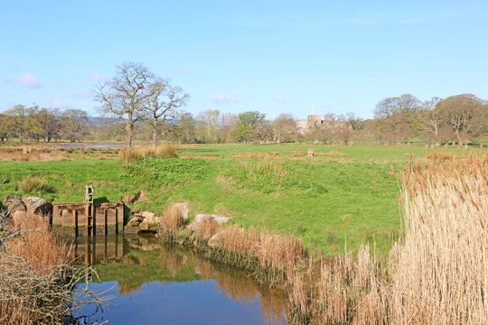 「Kenn」の写真素材 | 107件の無料イラスト画像 | Adobe Stock