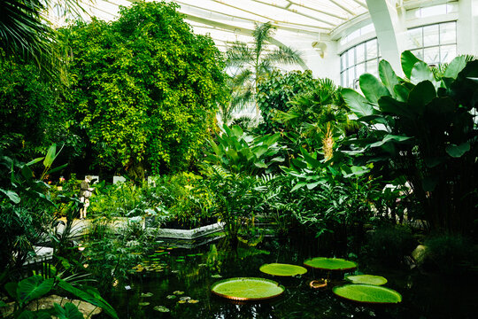 รูปภาพArboreta – เลือกดูภาพถ่ายสต็อก เวกเตอร์ และวิดีโอ245,049 | Adobe ...
