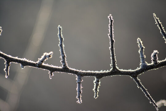 Osad Bilder – Durchsuchen 131 Archivfotos, Vektorgrafiken und Videos ...