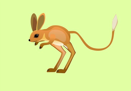 Wüstenspringmaus-Bilder: Stock-Fotos & -Videos. | Adobe Stock