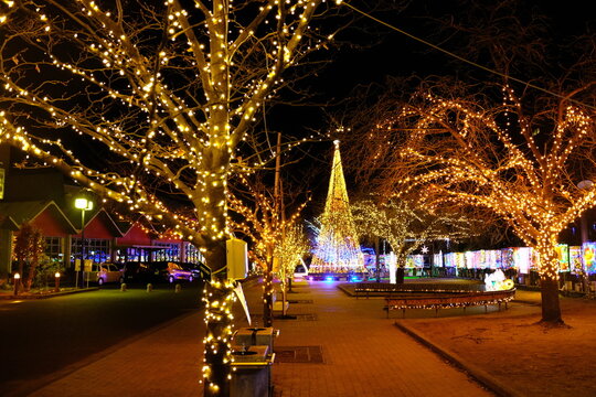 Gumma bilder – Bläddra bland 148 stockfoton, vektorer och videor ...