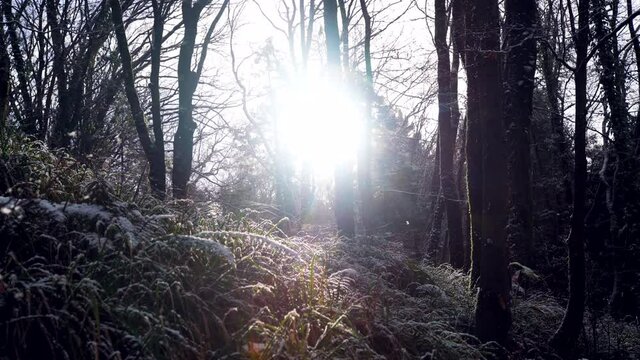 Short-Term Images – Browse 1,956 Stock Photos, Vectors, and Video ...