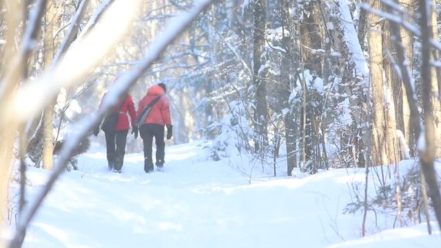 「Froidure」の画像 - 973 件の Stock 写真、ベクターおよびビデオ | Adobe Stock