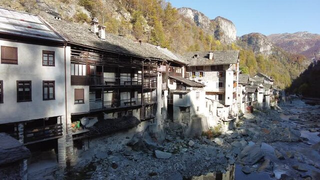 「Rassa」の写真素材 | 530件の無料イラスト画像 | Adobe Stock