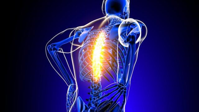 Arthralgie Images – Parcourir 12,850 le catalogue de photos, vecteurs ...