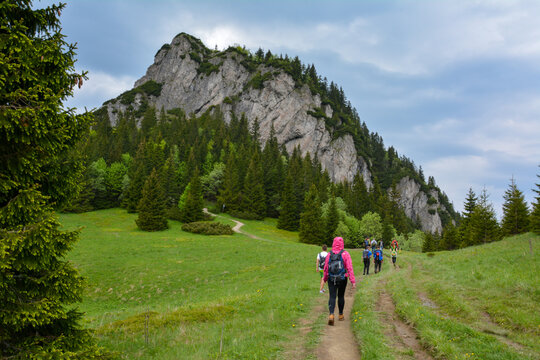 รูปภาพPiechur – เลือกดูภาพถ่ายสต็อก เวกเตอร์ และวิดีโอ1,218 | Adobe Stock