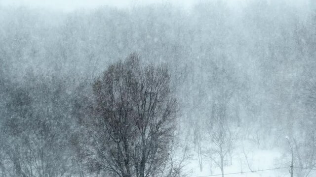 Snow-Fall Images – Browse 643 Stock Photos, Vectors, and Video | Adobe ...