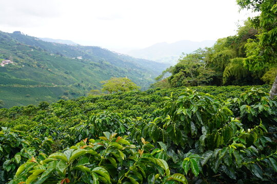 Famr Images – Browse 66 Stock Photos, Vectors, and Video | Adobe Stock